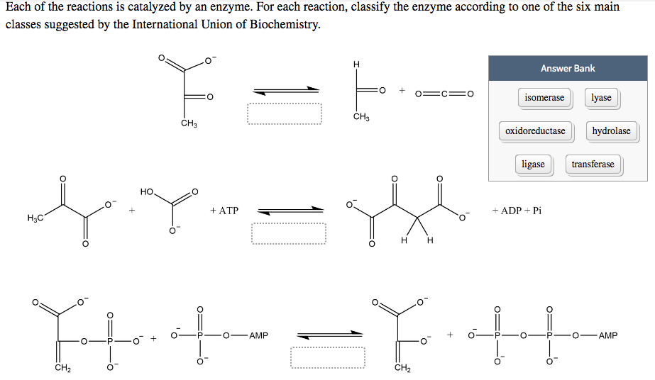 Solved Each of the reactions is catalyzed by an enzyme. For | Chegg.com