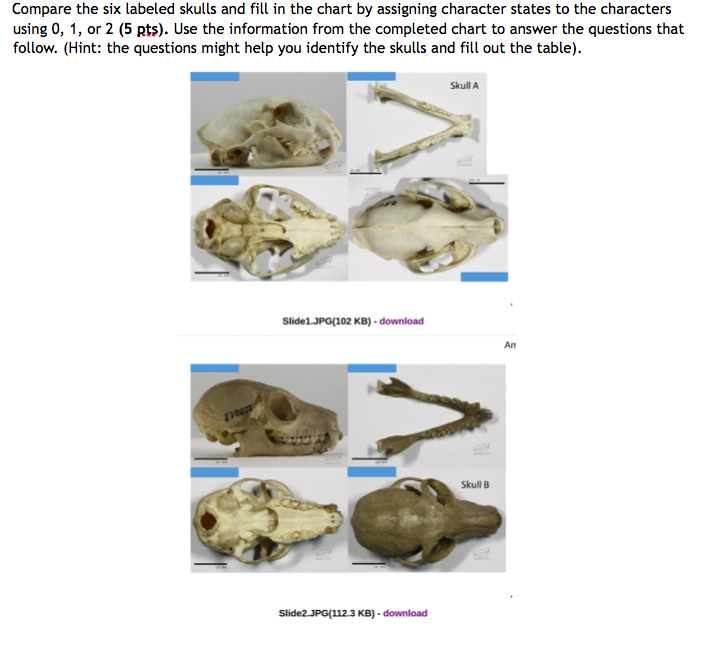 Compare the six labeled skulls and fill in the chart | Chegg.com