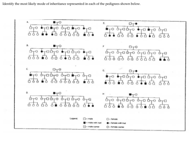 Solved Identify the most likely mode of inheritance | Chegg.com