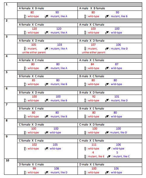 Solved Drosophila Complementation Test for Allelism Report! | Chegg.com