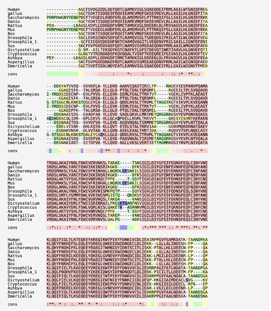 Solved MSA The multiple sequence alignment result as | Chegg.com