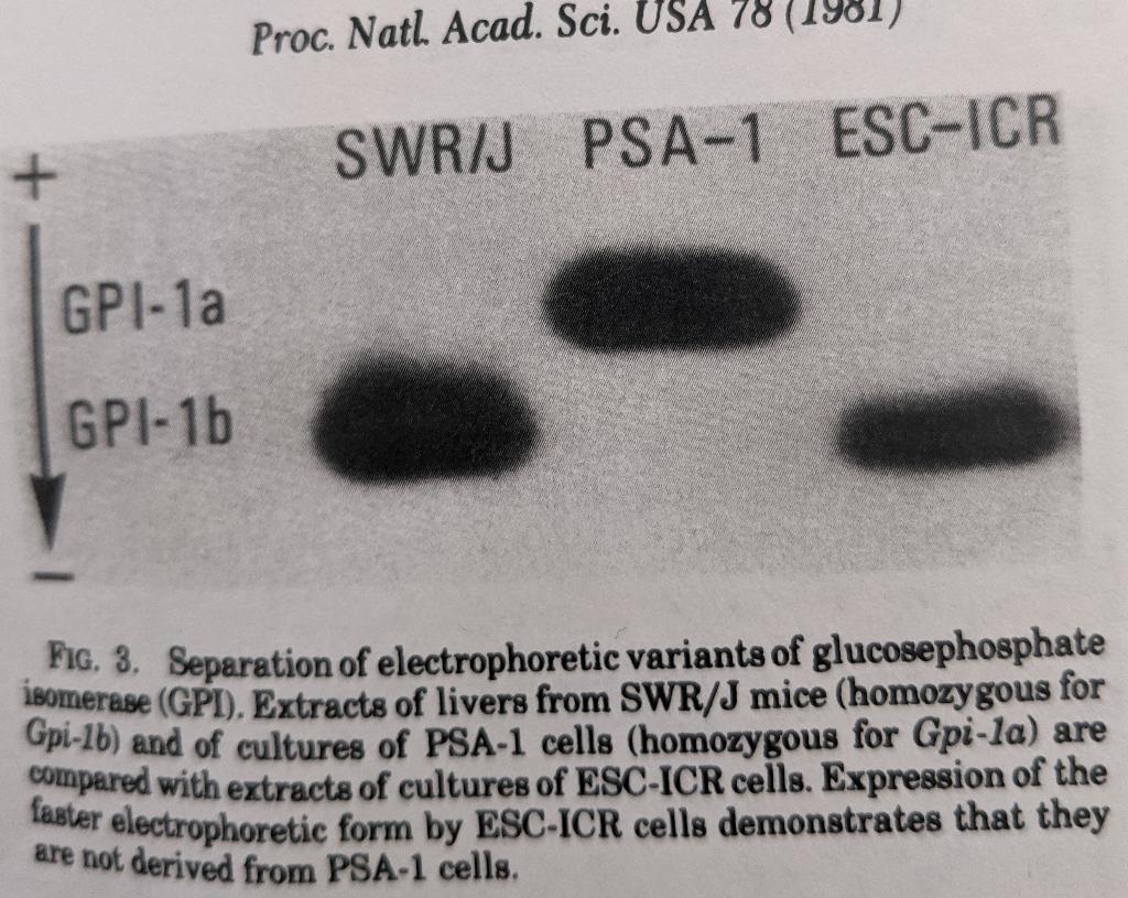 What was the premise behind confirming that the | Chegg.com