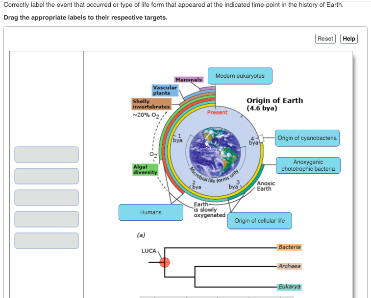 Solved Correctly label the event that occurred or type of | Chegg.com