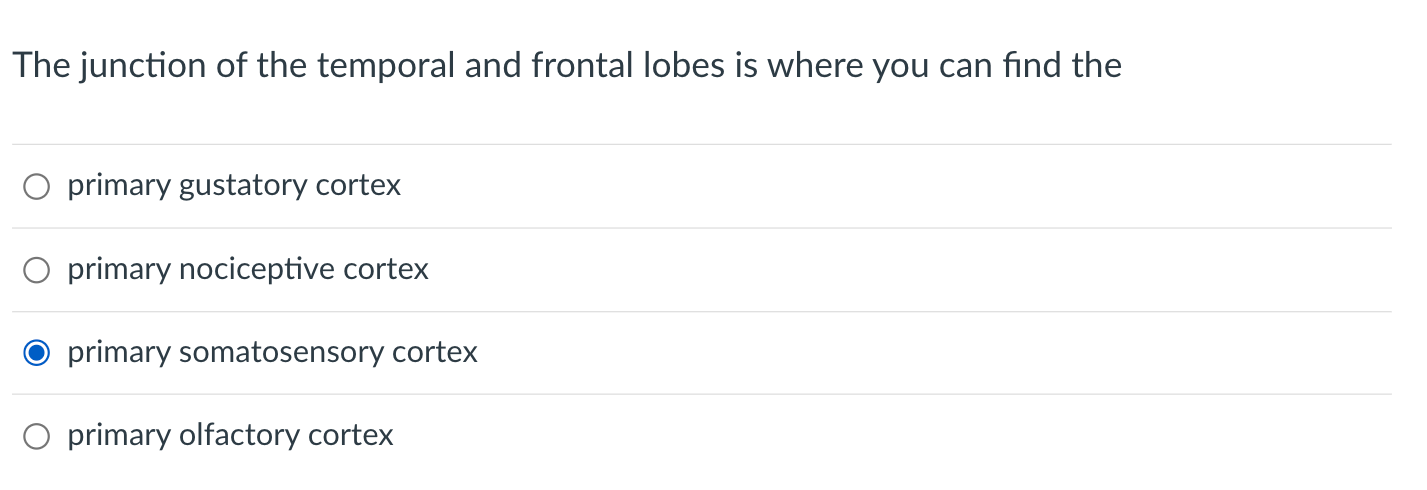 Solved The junction of the temporal and frontal lobes is | Chegg.com
