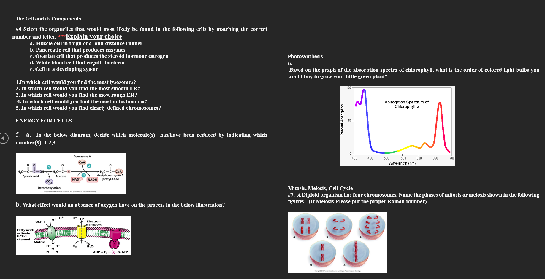 Solved The Cell and its Components \#4 Select the organelles | Chegg.com