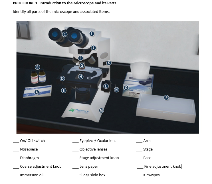 Solved Identify all parts of the microscope and associated | Chegg.com