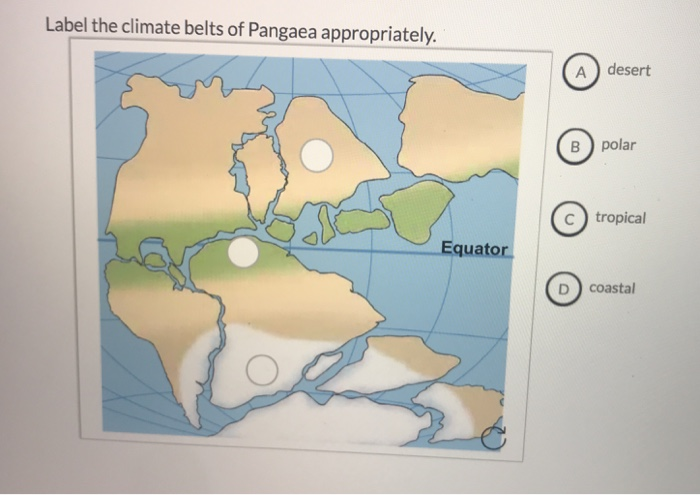Solved Label the climate belts of Pangaea appropriately. A | Chegg.com