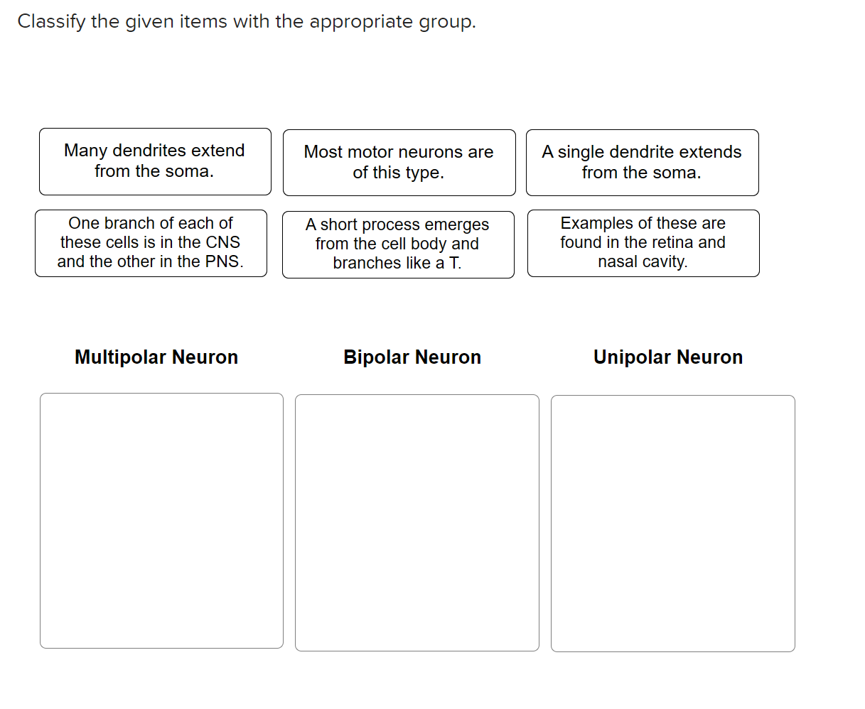 Solved Classify the given items with the appropriate | Chegg.com