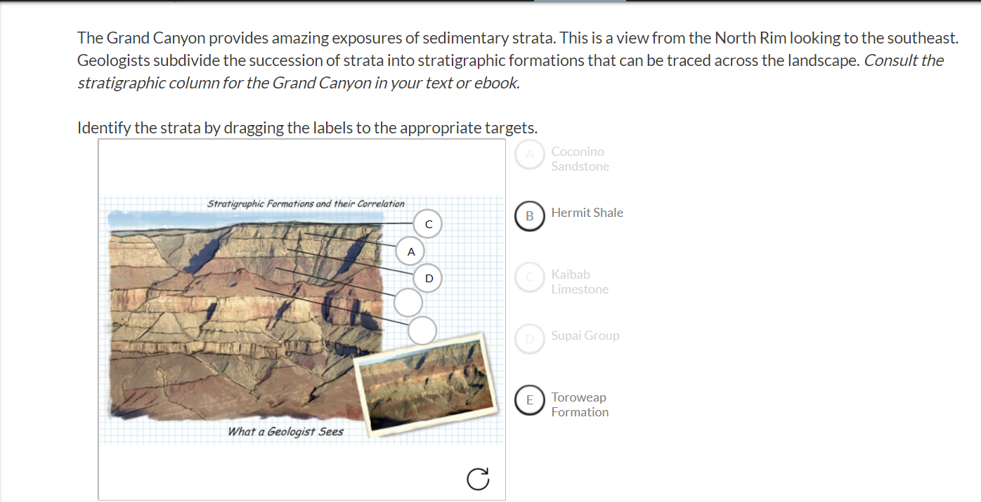 Solved The Grand Canyon provides amazing exposures of | Chegg.com