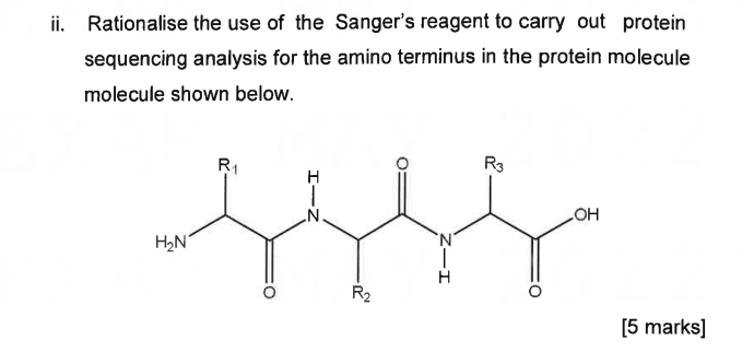 Solved Show the reaction steps involving the transformation | Chegg.com