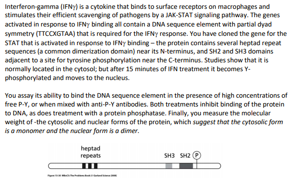Solved Interferon-gamma (IFNY) is a cytokine that binds to | Chegg.com