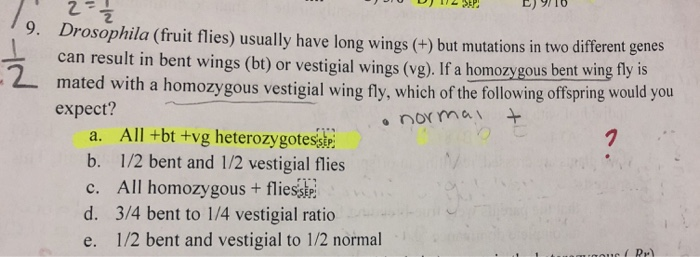 Solved The highlighted answer is correct. I don’t understand | Chegg.com