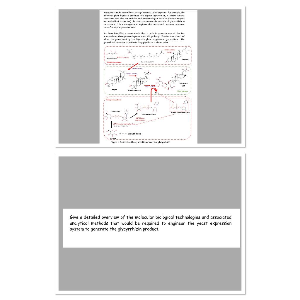 Many plants make naturally occurring chemicals called | Chegg.com