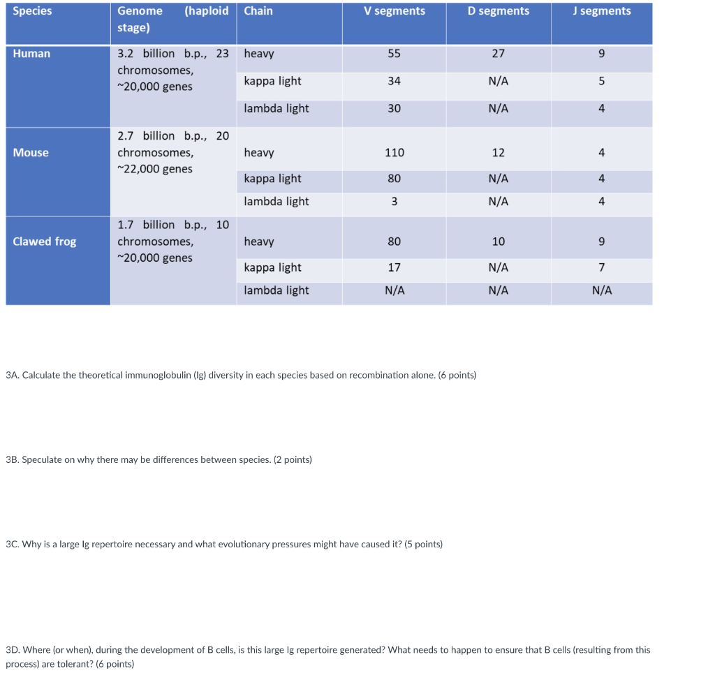 3A. Calculate the theoretical immunoglobulin (Ig) | Chegg.com