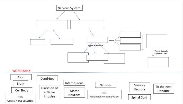 Solved PNS Fight or Flight DUAL INNERVATION Generally | Chegg.com