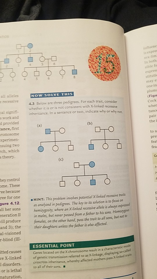 Solved Influenc Is Expre Sex Lim In Both Sible To Express