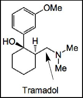 Solved Draw a valid Newman projection for tramidol looking | Chegg.com