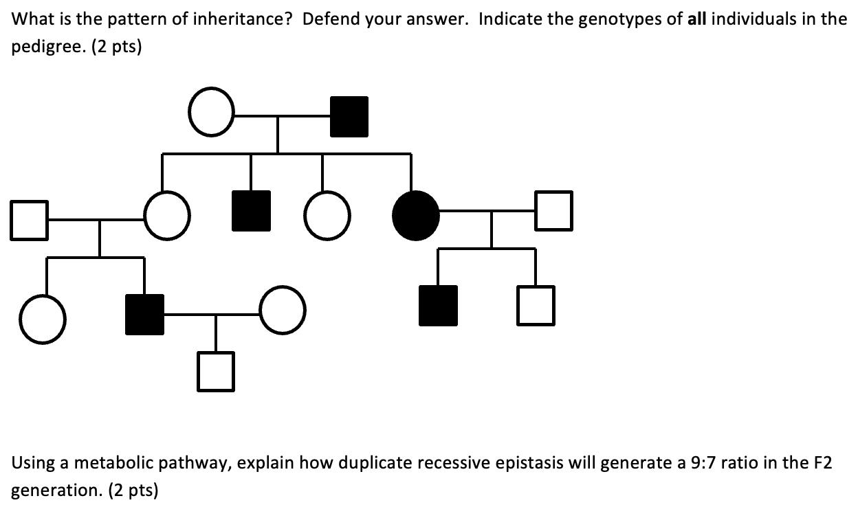 Solved Using a metabolic pathway, explain how duplicate | Chegg.com