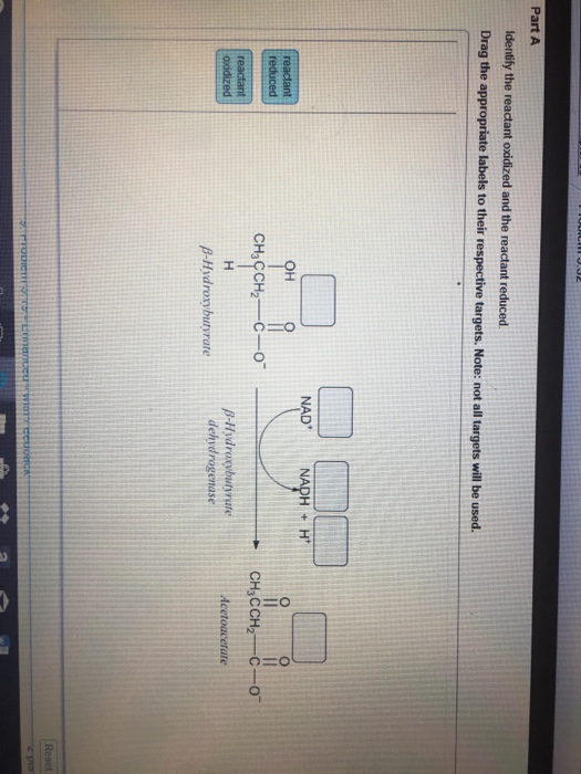 Solved Part A Identify the reactant oxidized and the | Chegg.com