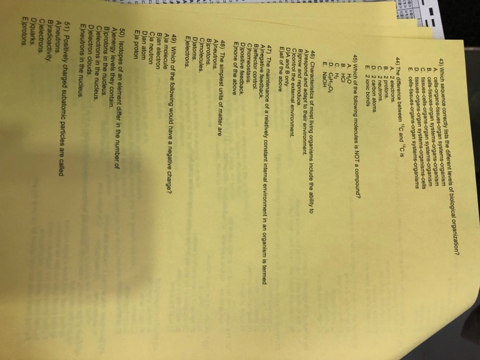 Solved 43) Which sequence correctly lists the different | Chegg.com
