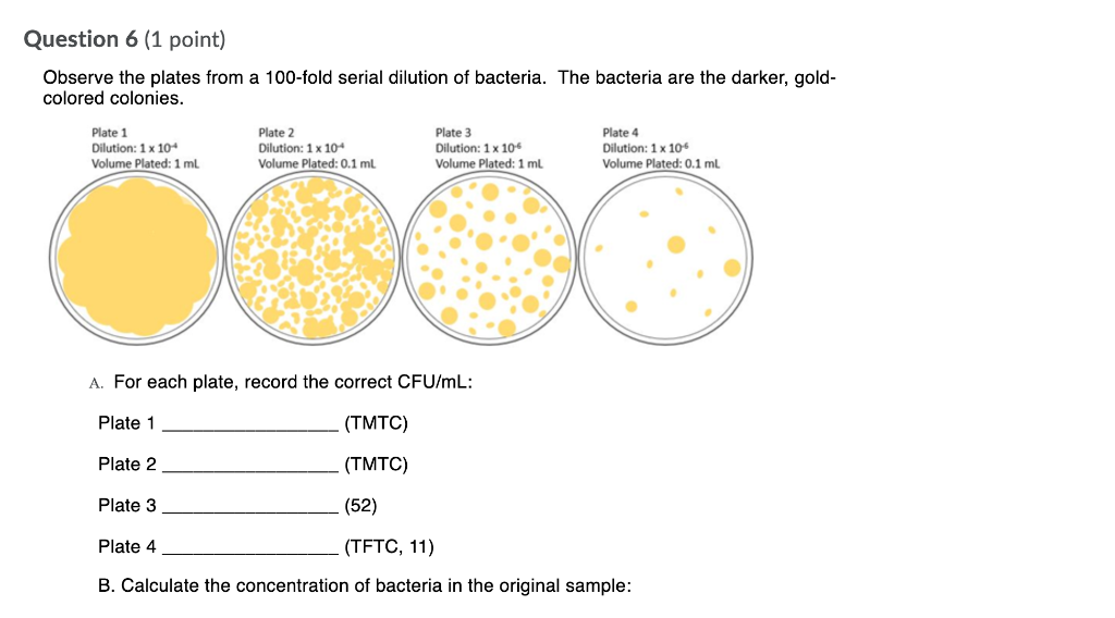 Solved Question 6 (1 point) Observe the plates from a | Chegg.com