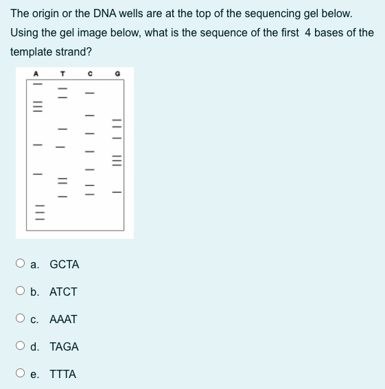 Solved The origin or the DNA wells are at the top of the | Chegg.com
