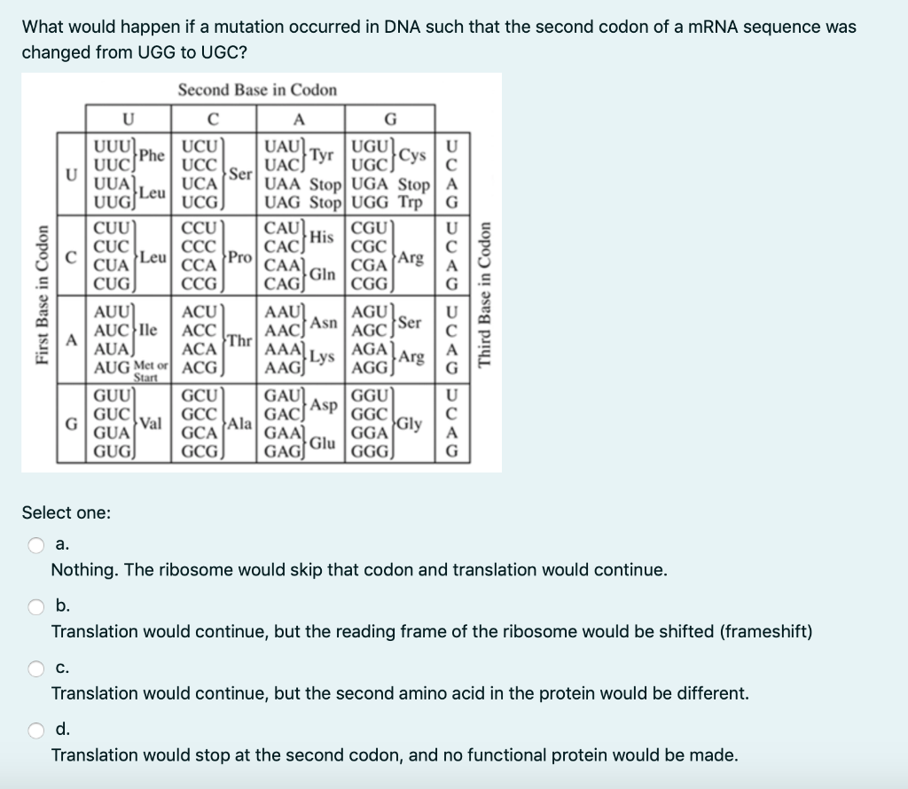 Solved What would happen if a mutation occurred in DNA such | Chegg.com