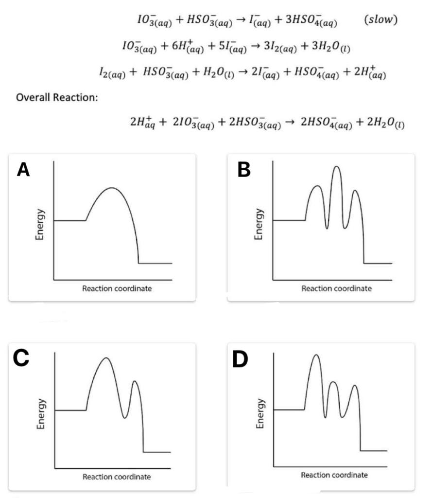 Solved Which of the following best represents the energy | Chegg.com