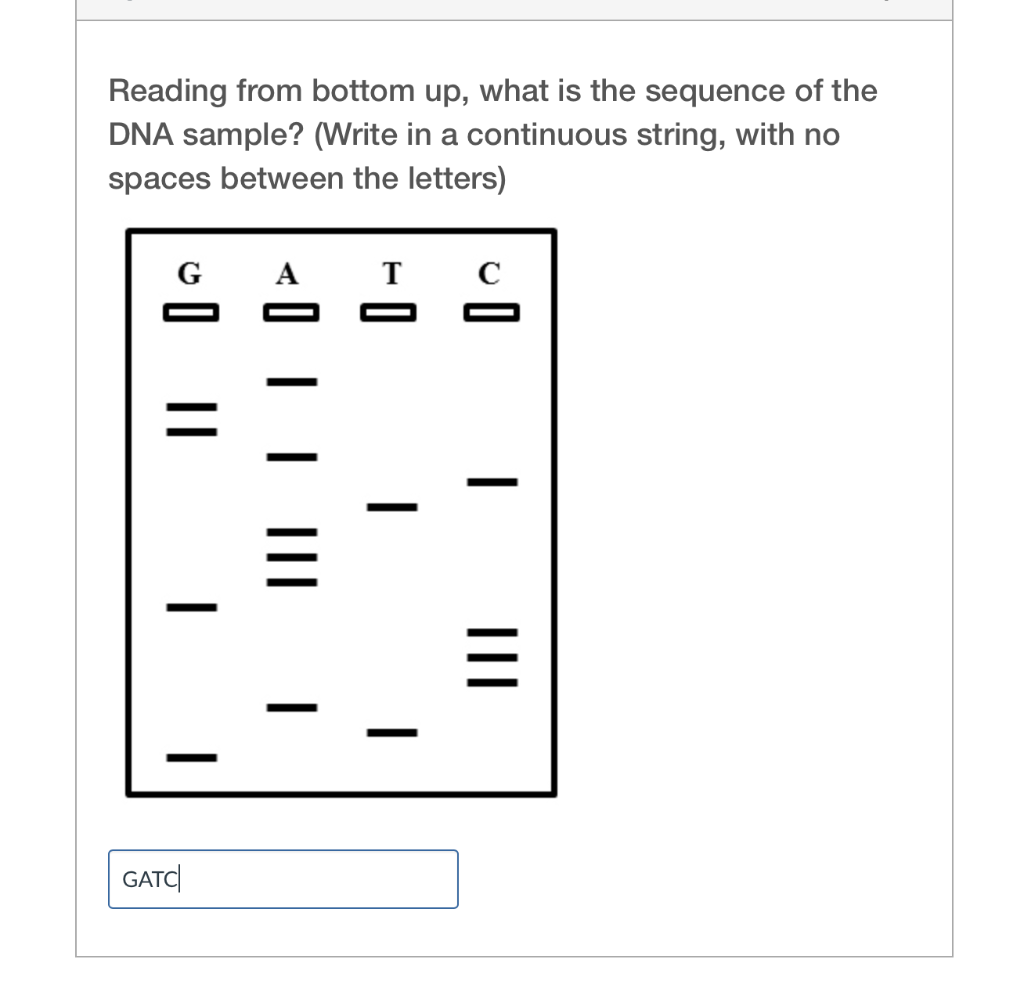 Solved Reading From Bottom Up What Is The Sequence Of The Chegg Solved Reading From Bottom Up What Is The Sequence Of The Chegg