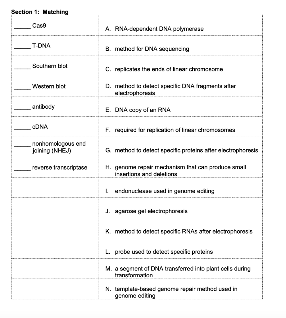 Solved Section 1: Matching Cas 9 A. RNA-dependent DNA | Chegg.com