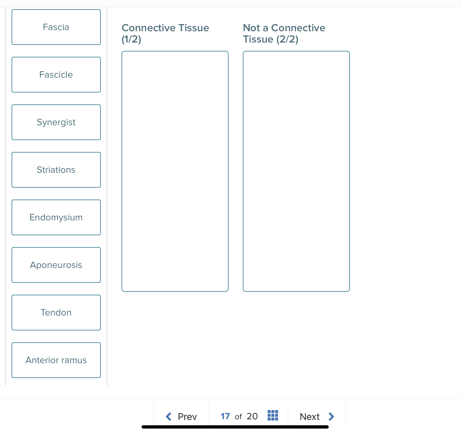 Solved Determine whether each item is connective tissue that | Chegg.com