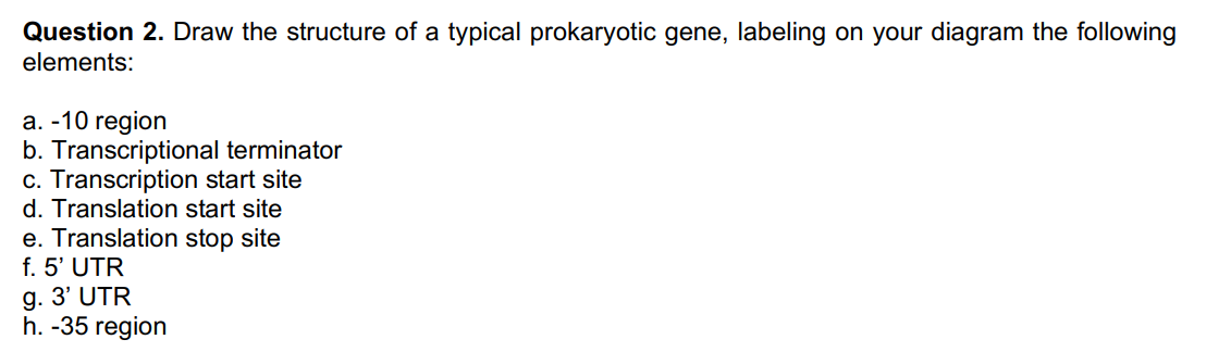 Solved Question 2. Draw the structure of a typical | Chegg.com