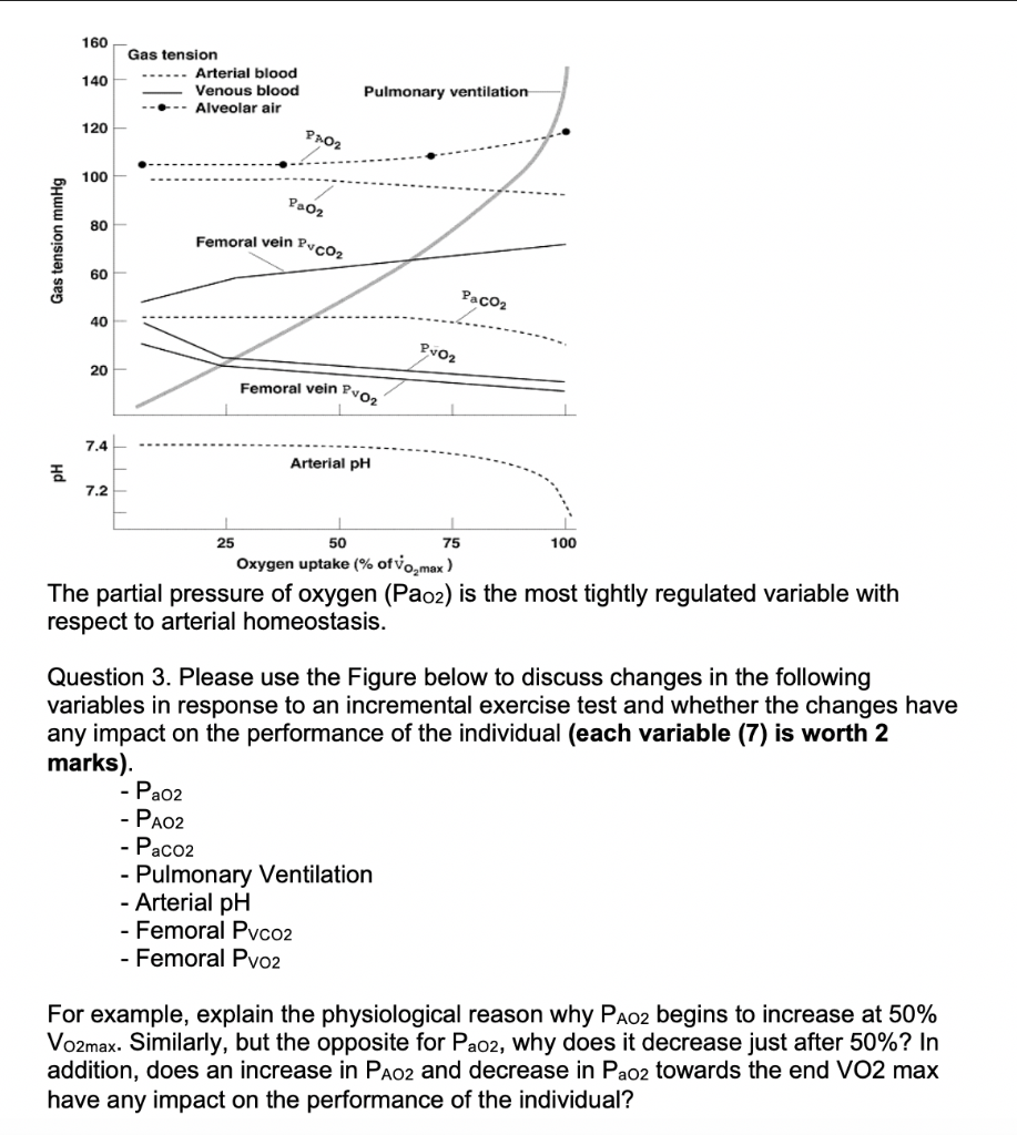 Solved 160 140 Gas tension Arterial blood Venous blood --- | Chegg.com
