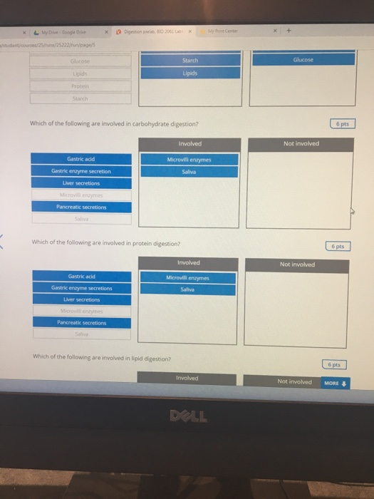 Solved 1. Which of the following are involved in | Chegg.com