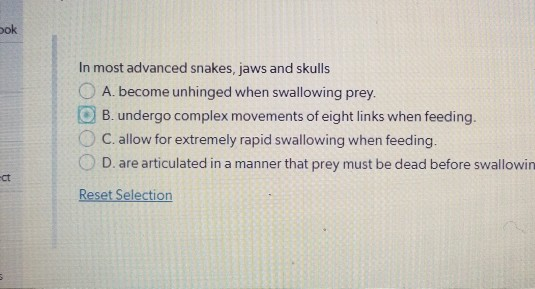 Solved ok In most advanced snakes, jaws and skulls A. become | Chegg.com