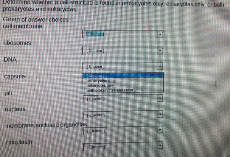 Solved Match the characteristic with its macromolecule | Chegg.com