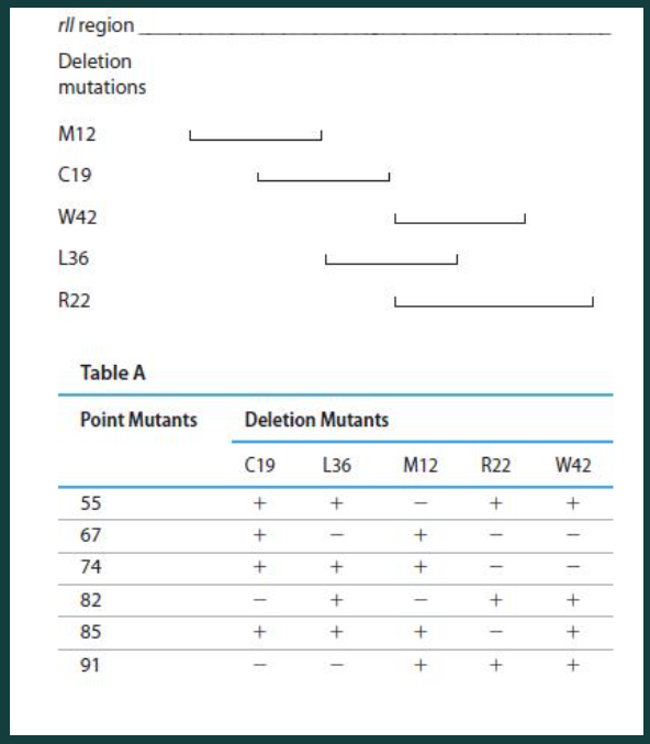 MasteringGenetics for Genetic Analysis: An | Chegg.com