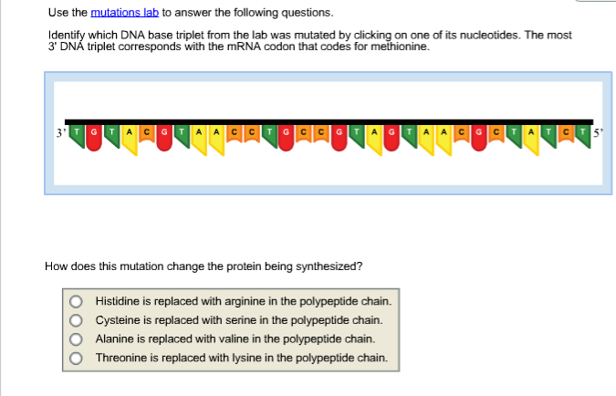 Solved Use the mutations lab to answer the following | Chegg.com