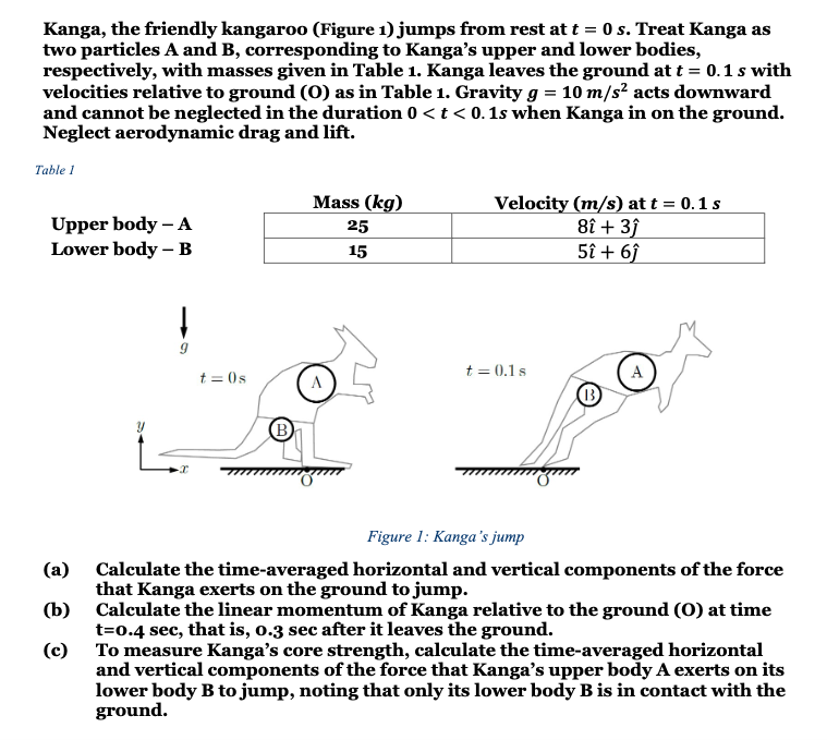 Solved Kanga, the friendly kangaroo (Figure 1) jumps from | Chegg.com