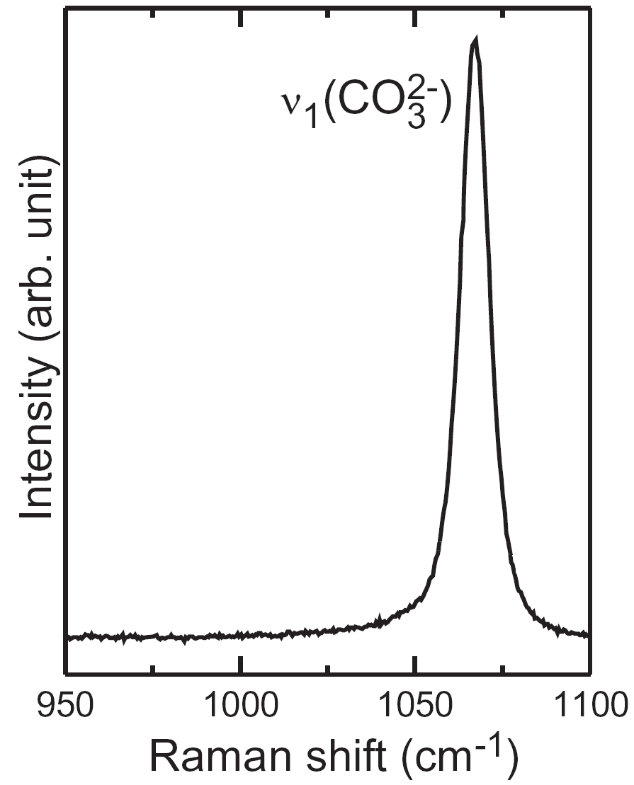 The carbonate ion, CO32- has threefold symmetry: | Chegg.com