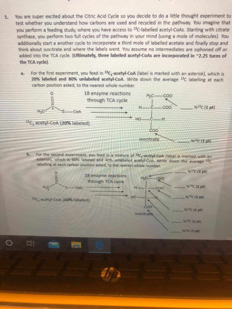 Solved by an EXPERT thanks | Chegg.com