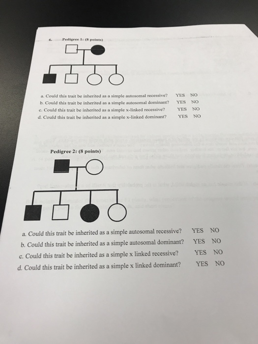 Solved 6 Pedigres a (s points) a. Could this trait be | Chegg.com