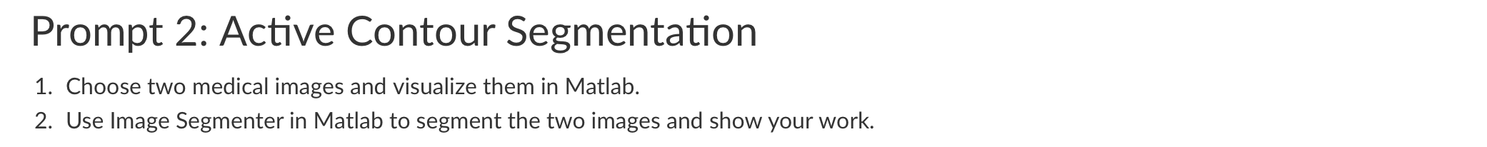 Prompt 2 Active Contour Segmentation 1 Choose Two