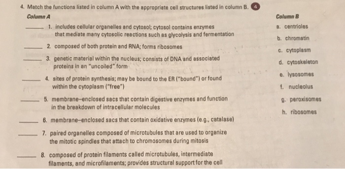 Solved match the functions listed in column A with the | Chegg.com