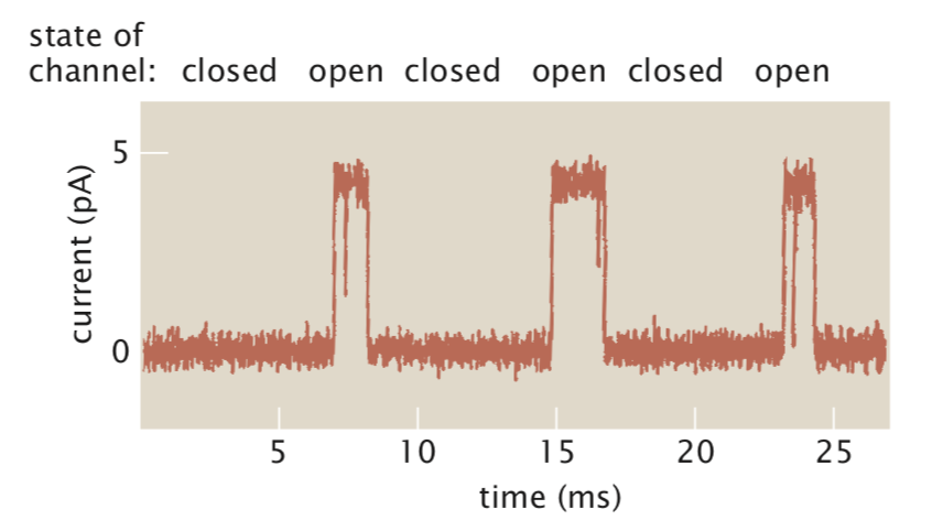 c) Using the figure for a single channel current | Chegg.com