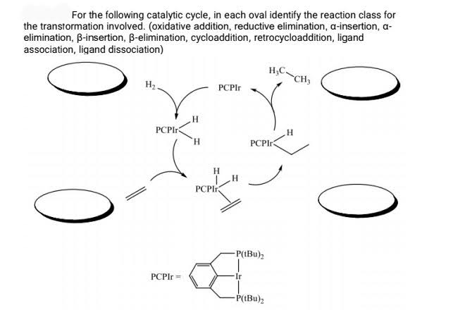 Solved For the following catalytic cycle, in each oval | Chegg.com