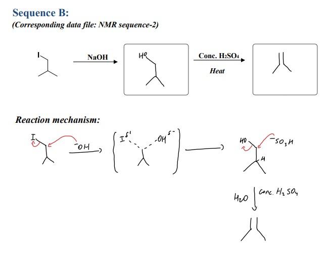 Solved Sequence B: (Corresponding data file: NMR sequence-2) | Chegg.com