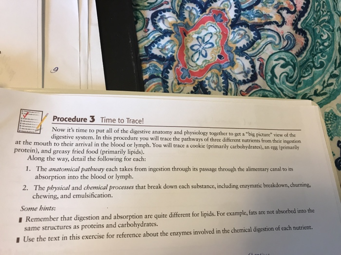 Solved Procedure 3 Time to Trace! Now it's time to put all | Chegg.com