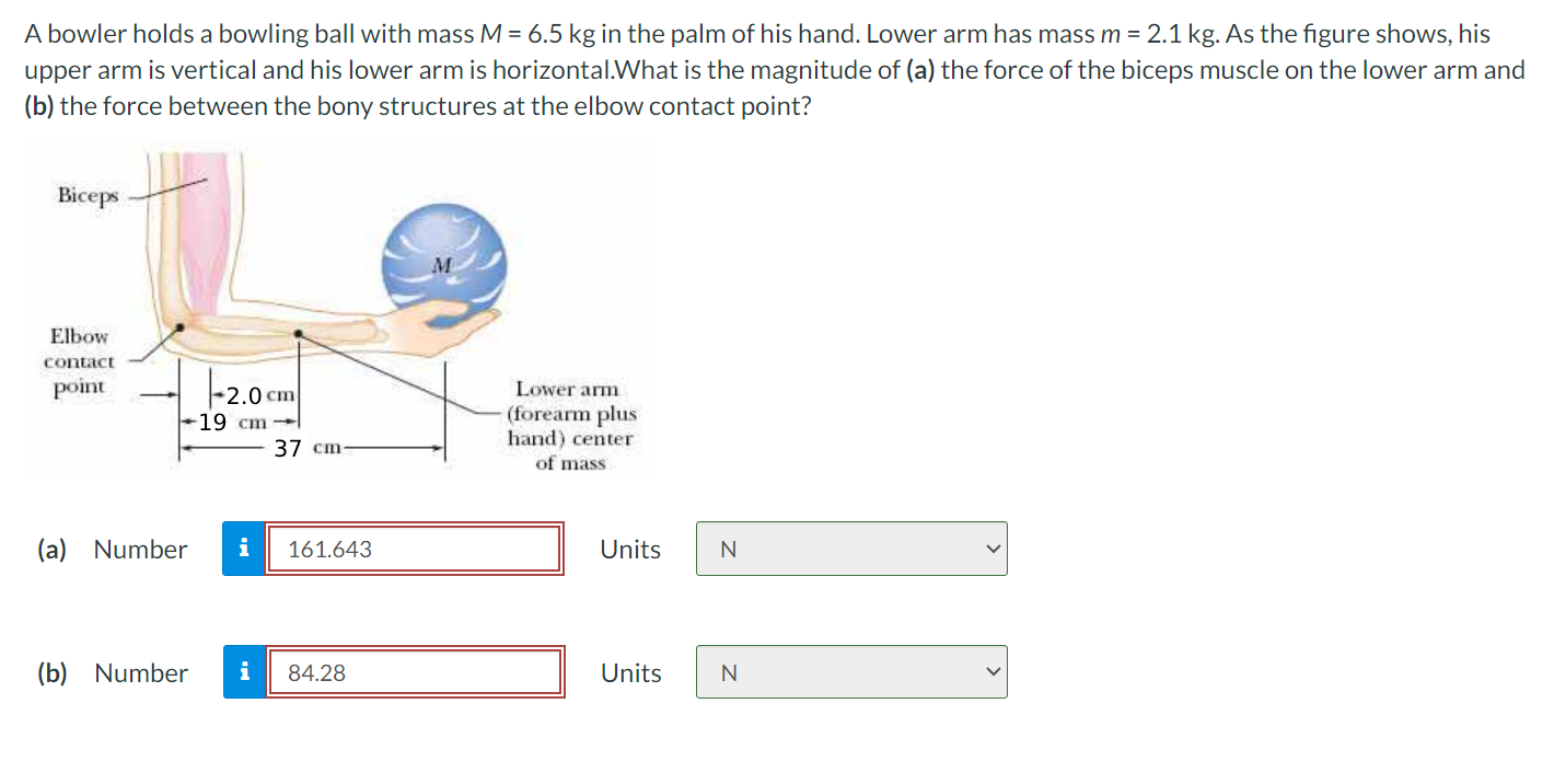 Solved A bowler holds a bowling ball with mass M=6.5 kg in | Chegg.com
