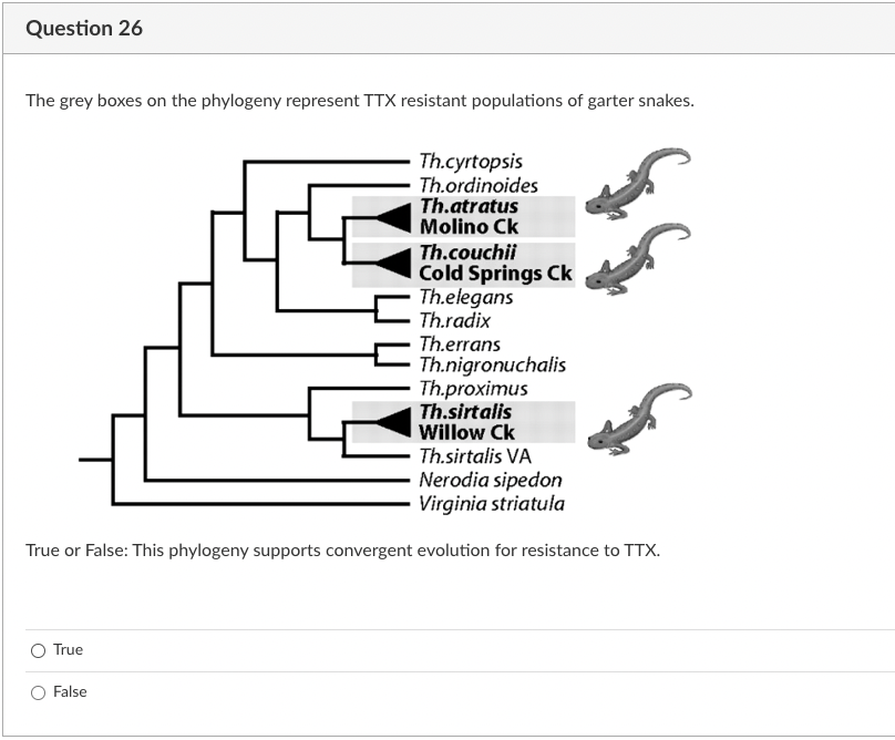 Solved Question 9 Expected genotype frequencies for AC and | Chegg.com
